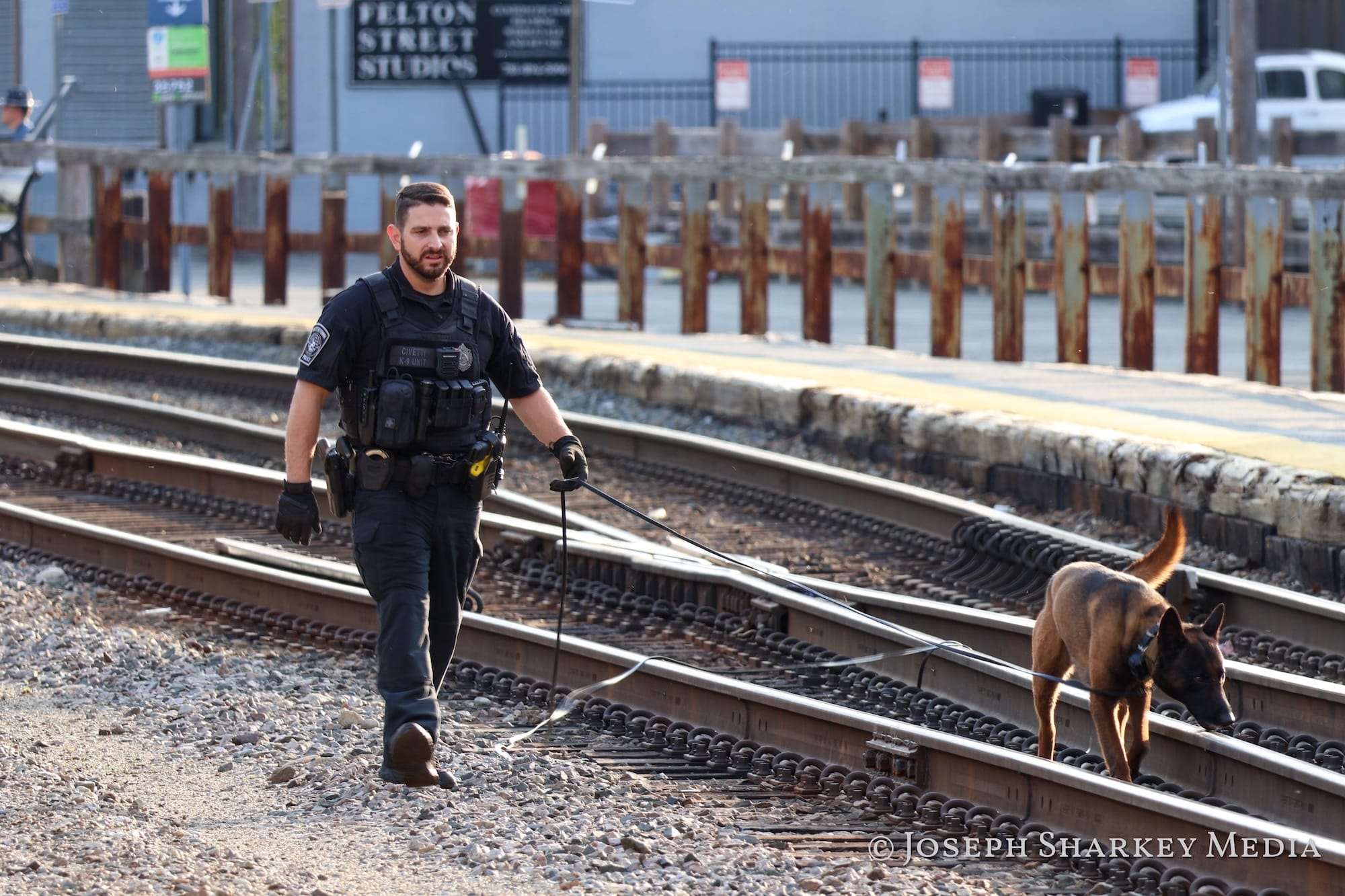 17-year-old in custody after report of a gun fired near Waltham ...