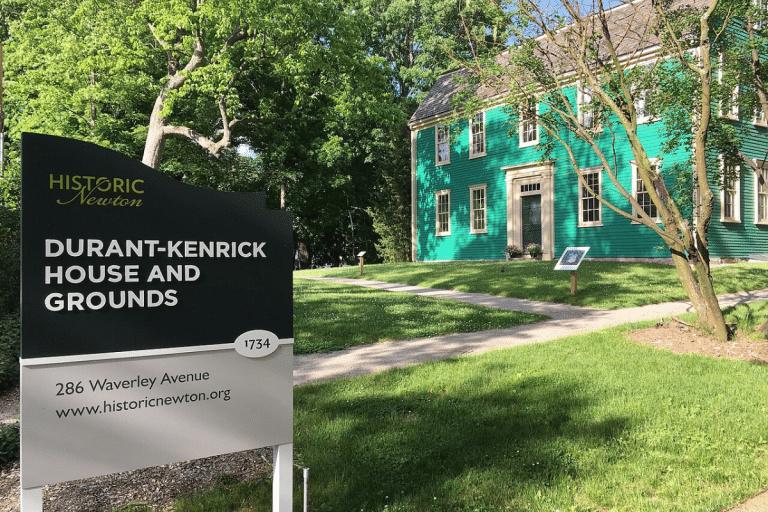 Cat Connection helping kitties find ‘furever’ homes for 25 years ...