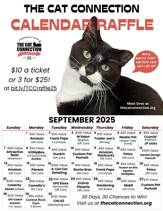The Cat Connection’s calendar raffle – Waltham Times