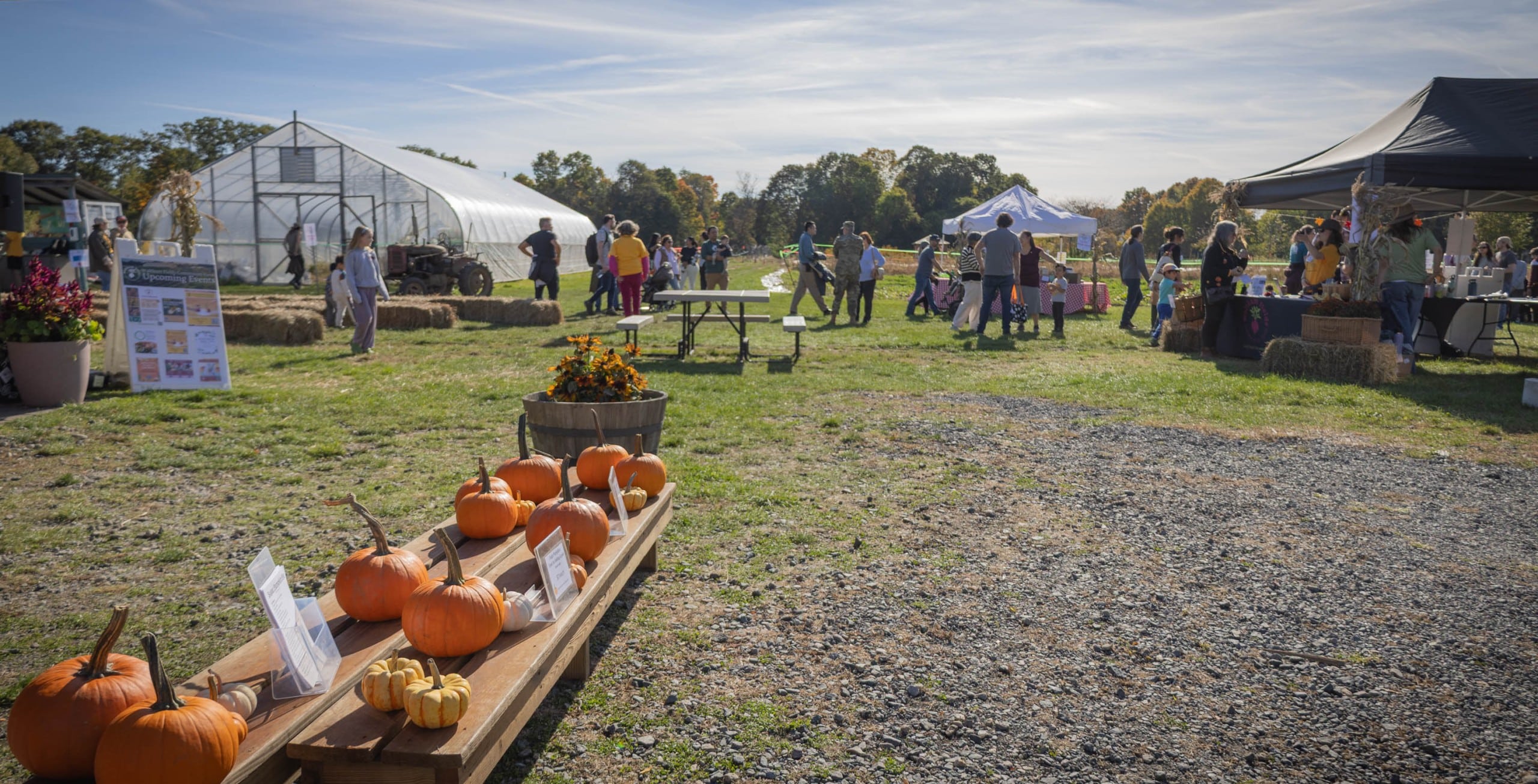 A golden afternoon on Farm Day – Waltham Times